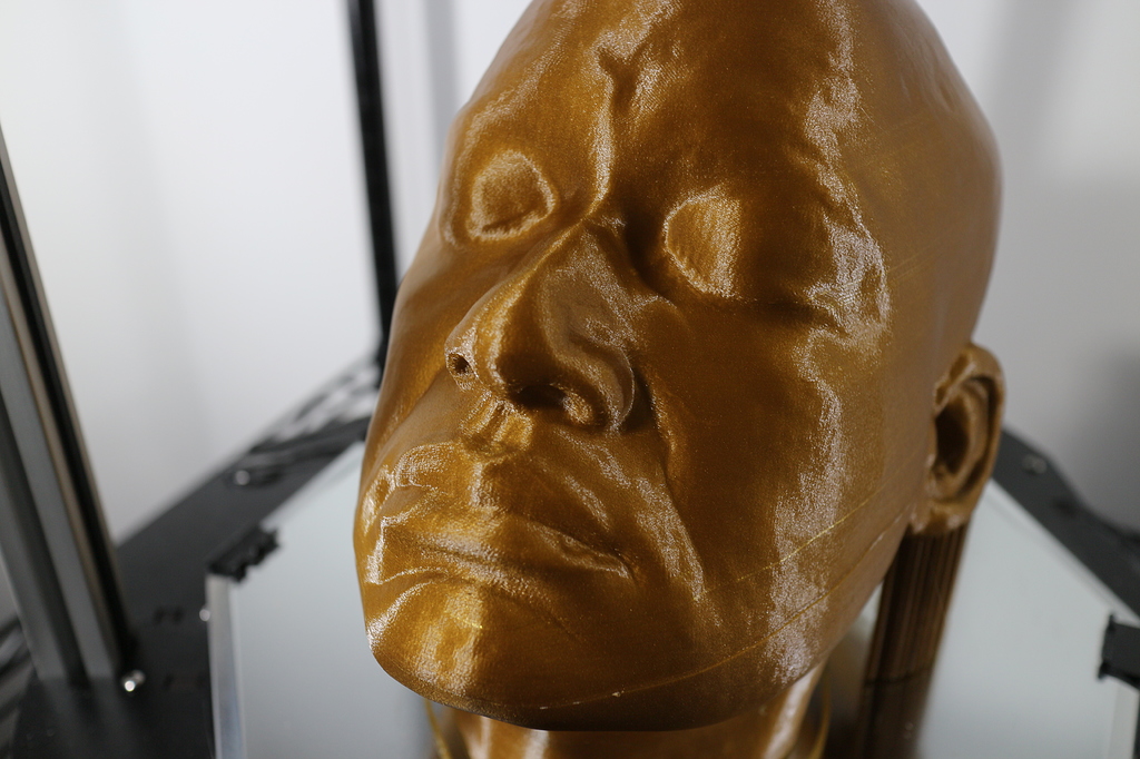 Full Size Human Head from 3D Scan. - Scanning - Talk Manufacturing | Hubs